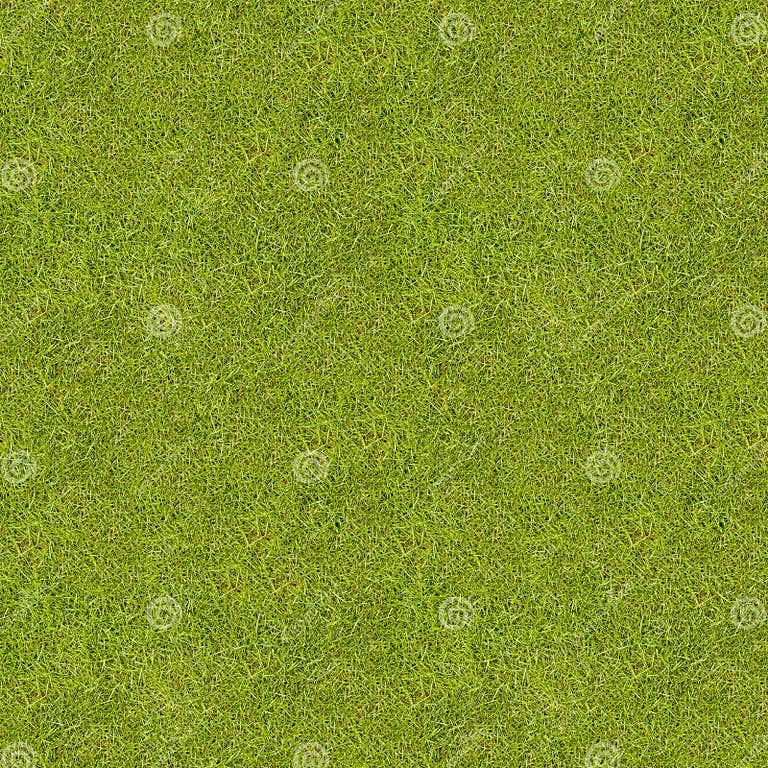 Seamless grass texture. stock photo. Image of mowed, grass - 51897080