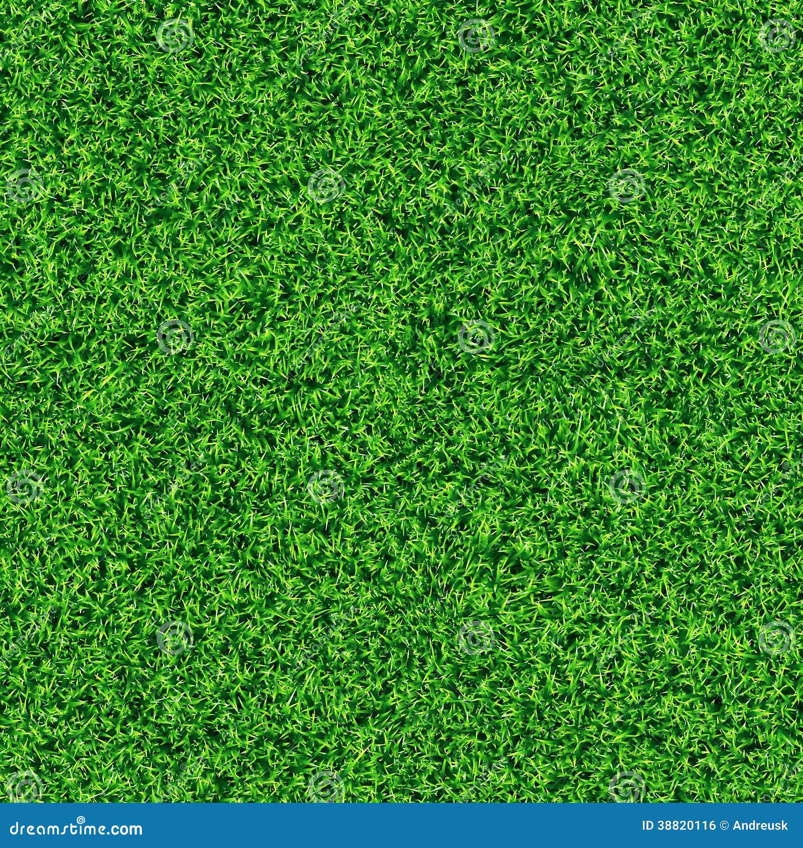 Seamless grass texture stock photo. Image of natural - 38820116