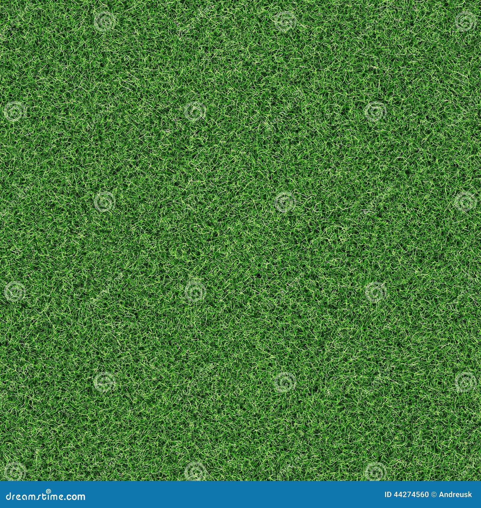 Seamless grass texture stock photo. Image of garden, outdoor - 44274560