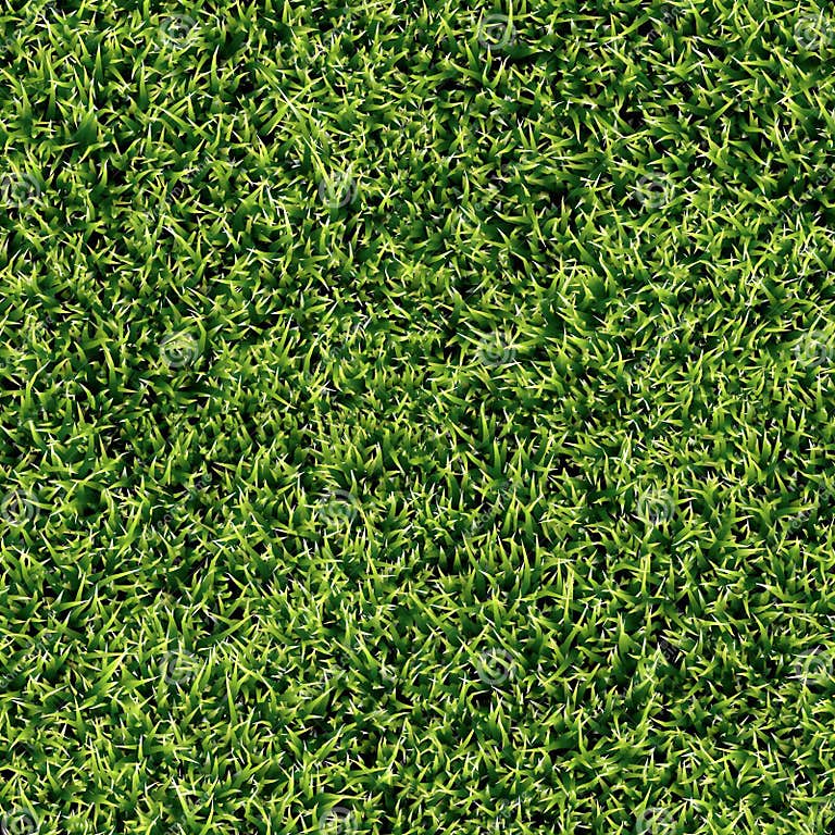 Seamless grass texture stock photo. Image of meadow, pattern - 38820126