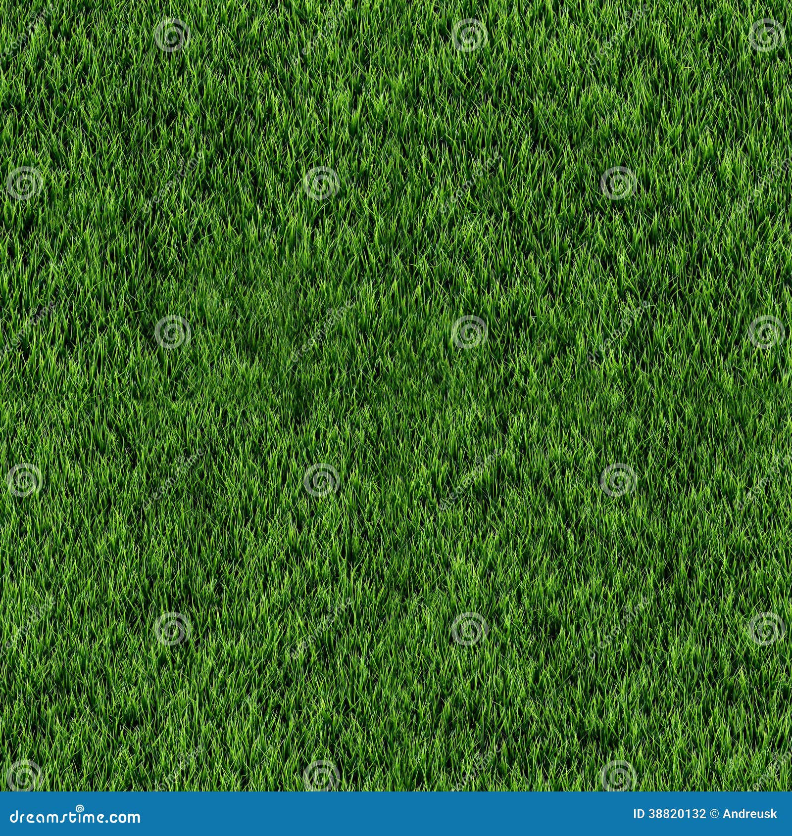 Seamless grass texture stock photo. Image of seamless - 38820132