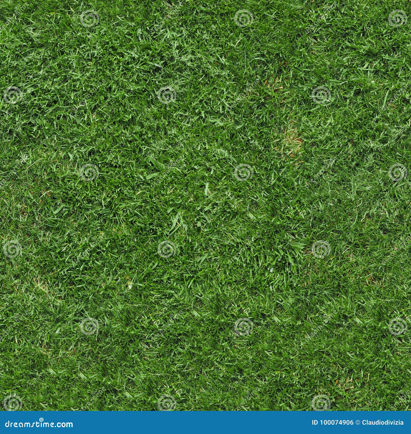 Seamless Green Grass Texture Background Stock Photo - Image of surface ...