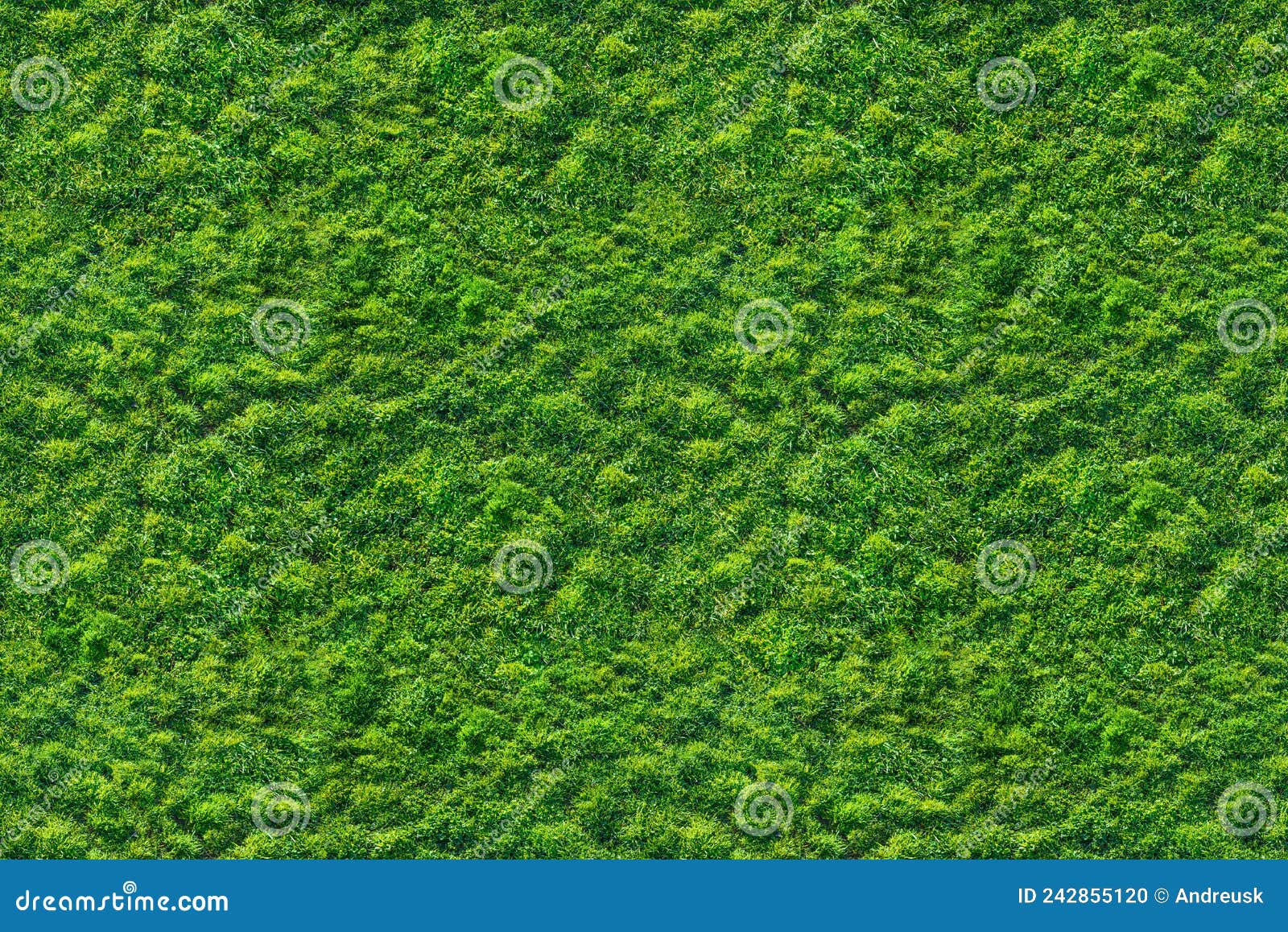 Seamless Green Grass Texture Pattern Stock Photo - Image of green ...