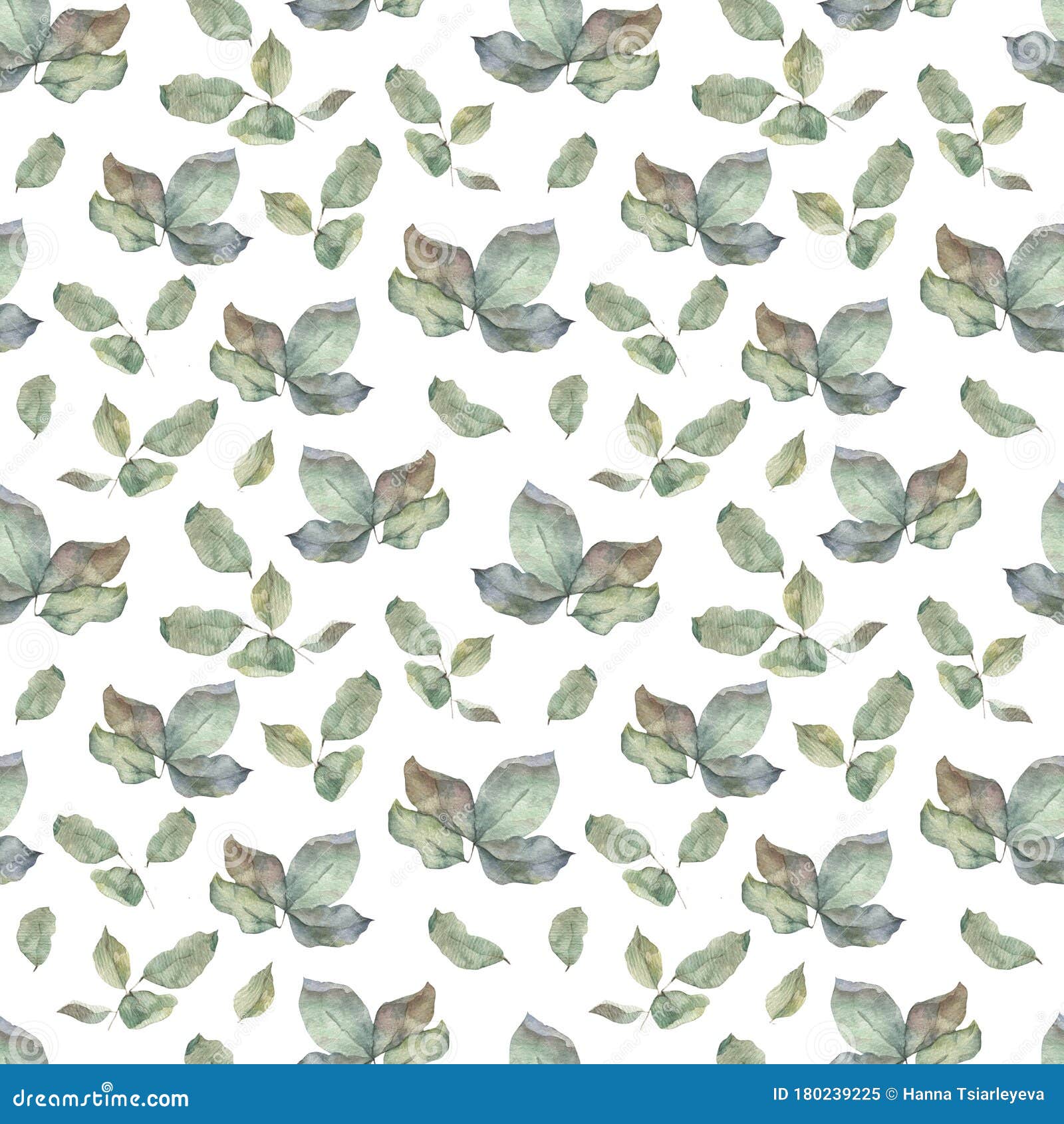 Seamless Green Leaf Pattern. Hand Drawn Elegant Leaves on White ...