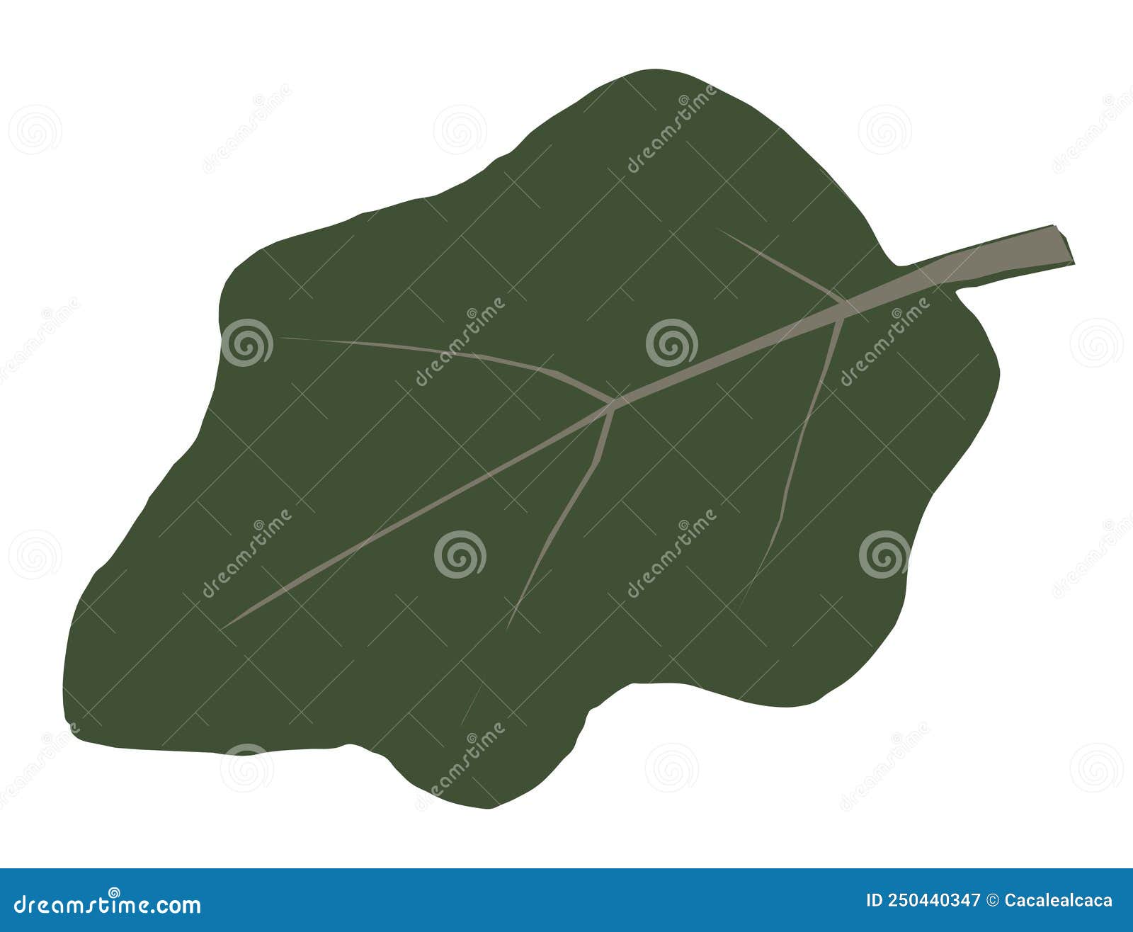 Drawing Of The Structure Of A Green Leaf Of A Plant. Eggplant Leaf ...