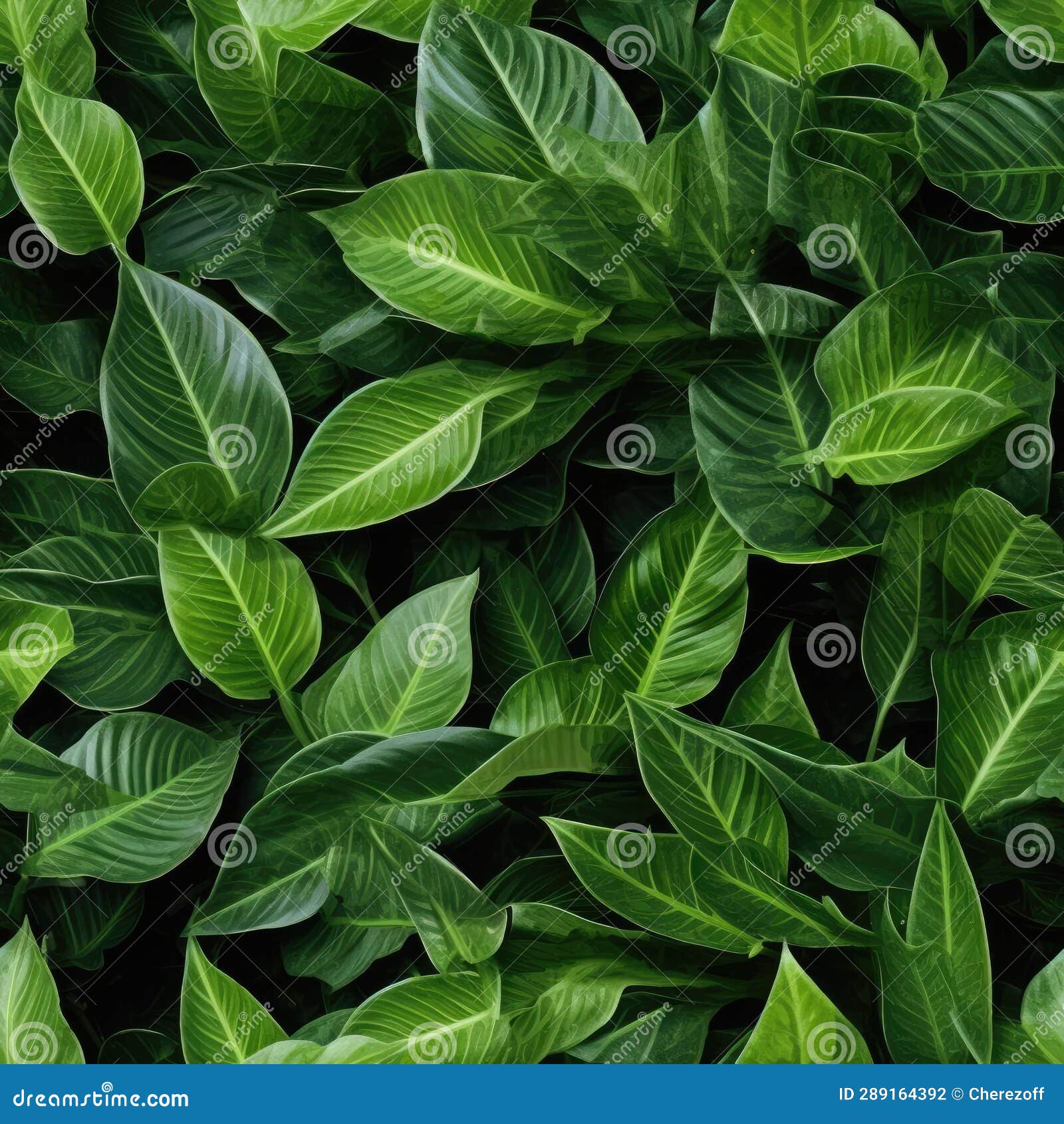 Seamless. Green Leaves of Plants Stock Photo - Image of floral, forest ...