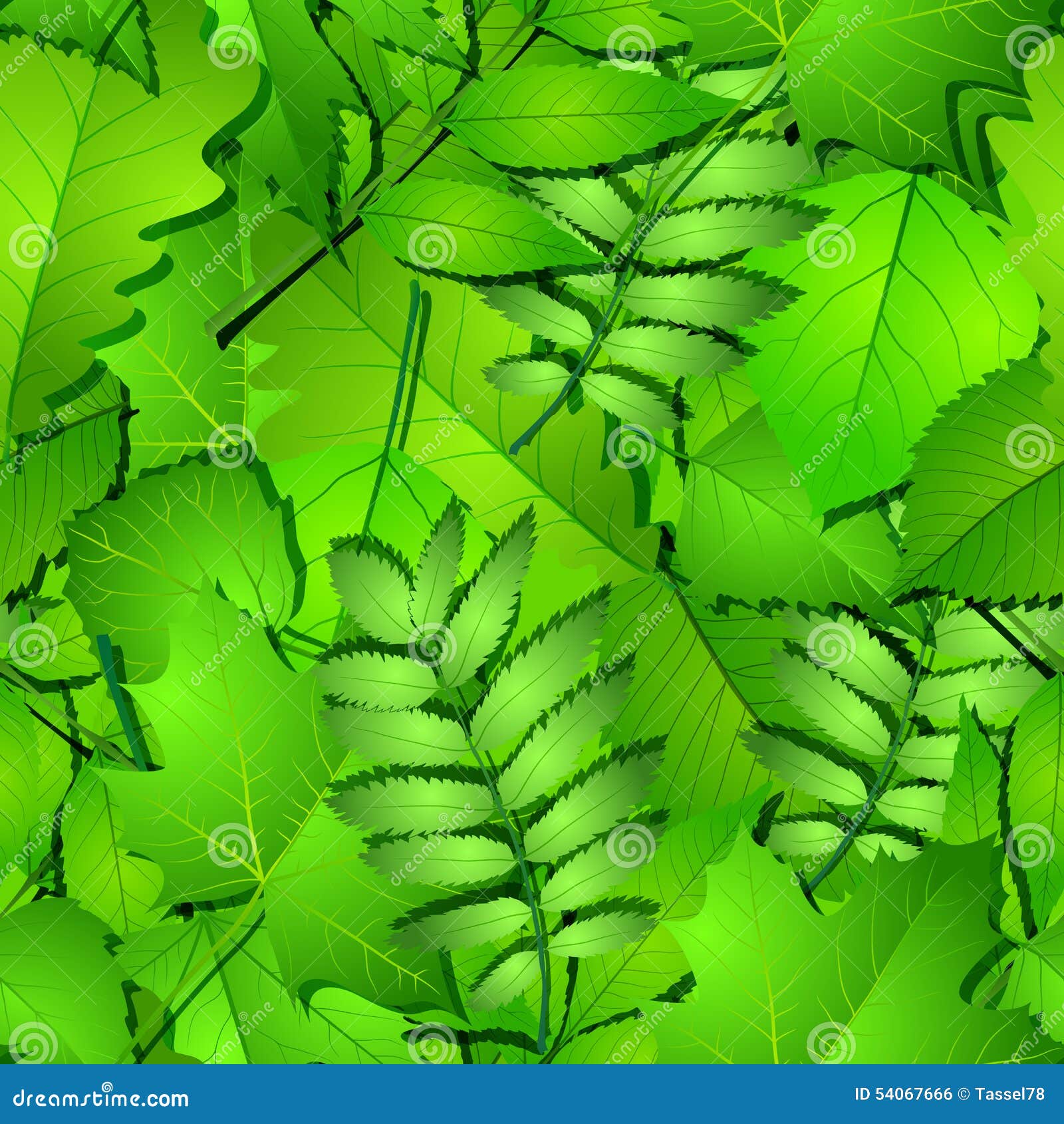 Seamless with Green Spring Leaves Stock Vector - Illustration of grape ...