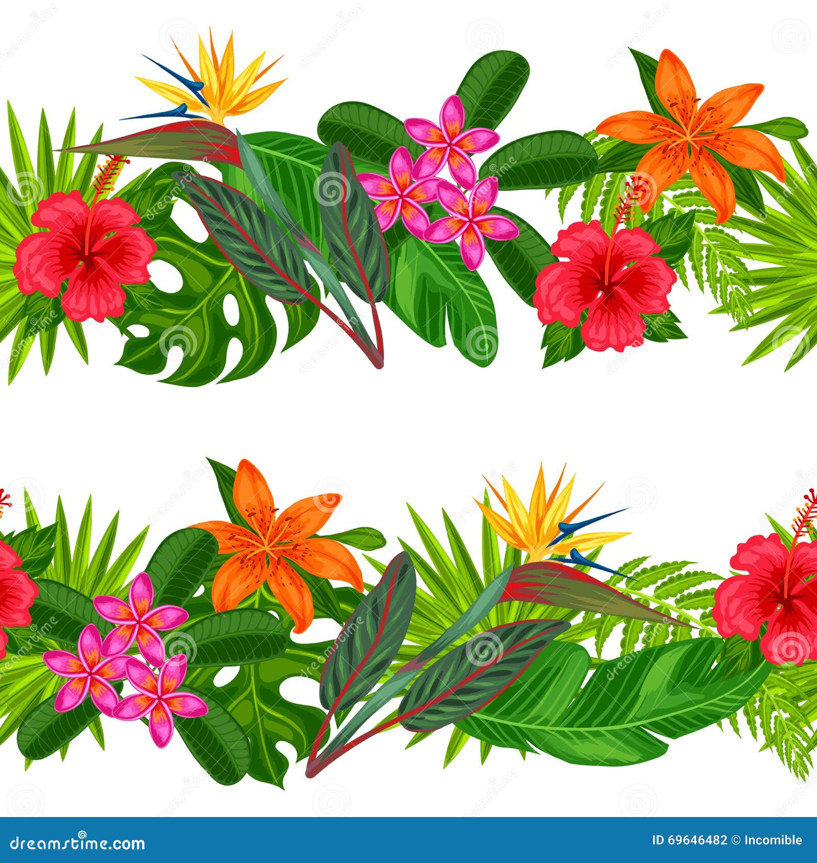 Seamless Horizontal Borders with Tropical Plants, Leaves and Flowers ... Seamless Horizontal Borders with Tropical Plants, Leaves and Flowers ...