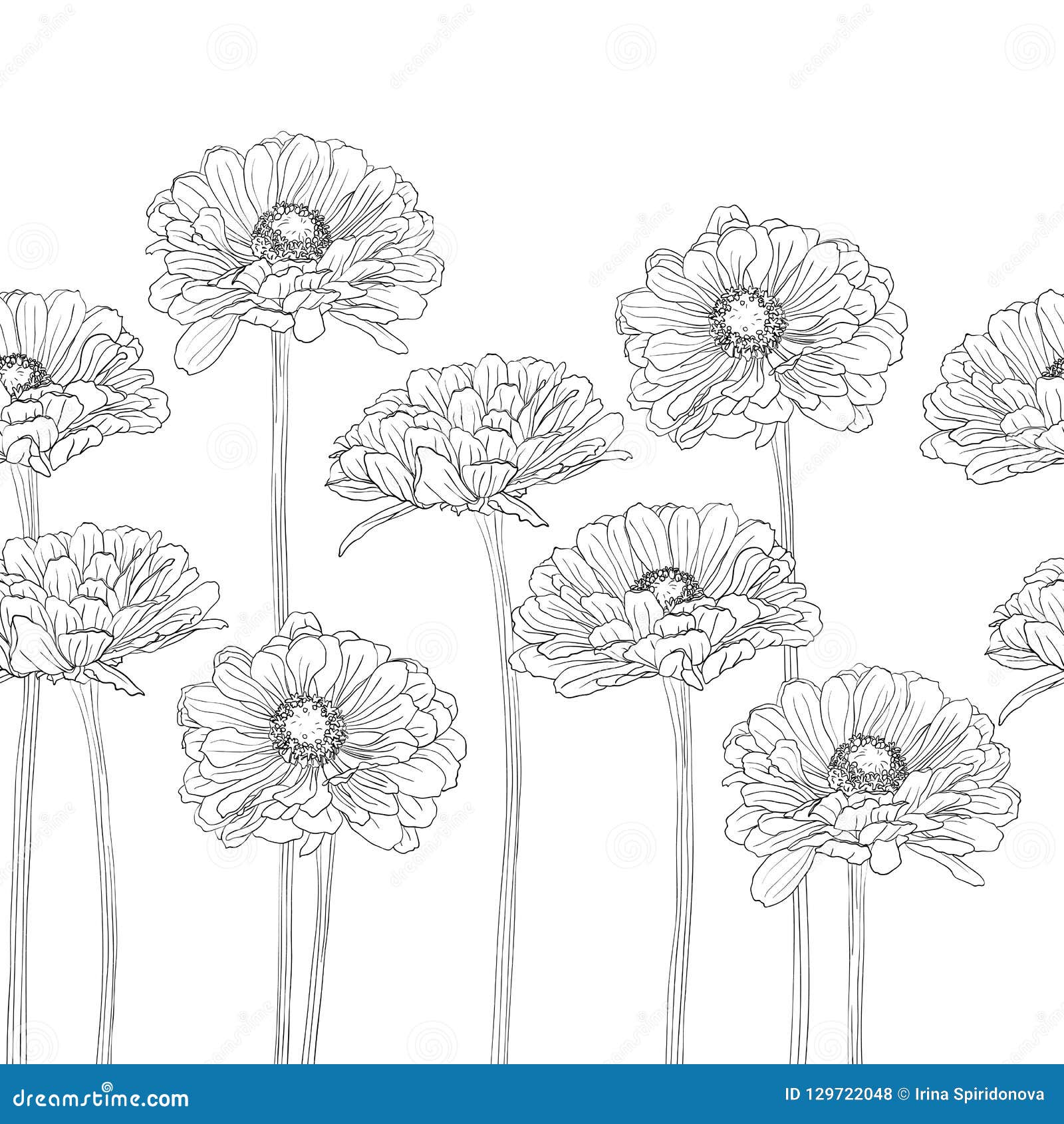 Seamless Horizontal Pattern with Gerbera Flowers Stock Vector ...