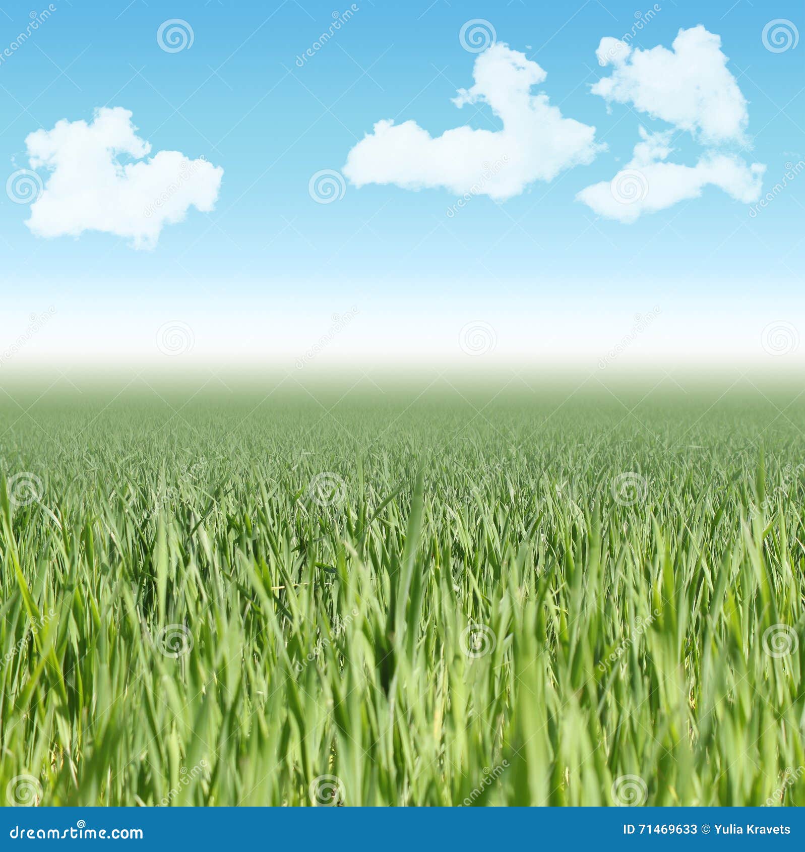 Seamless Horizontal Tile of Green Grass and Sky Landscape Stock Image ...