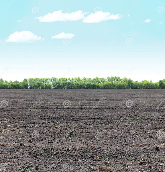 Seamless Horizontal Tile of Ground and Sky Landscape Stock Image ...