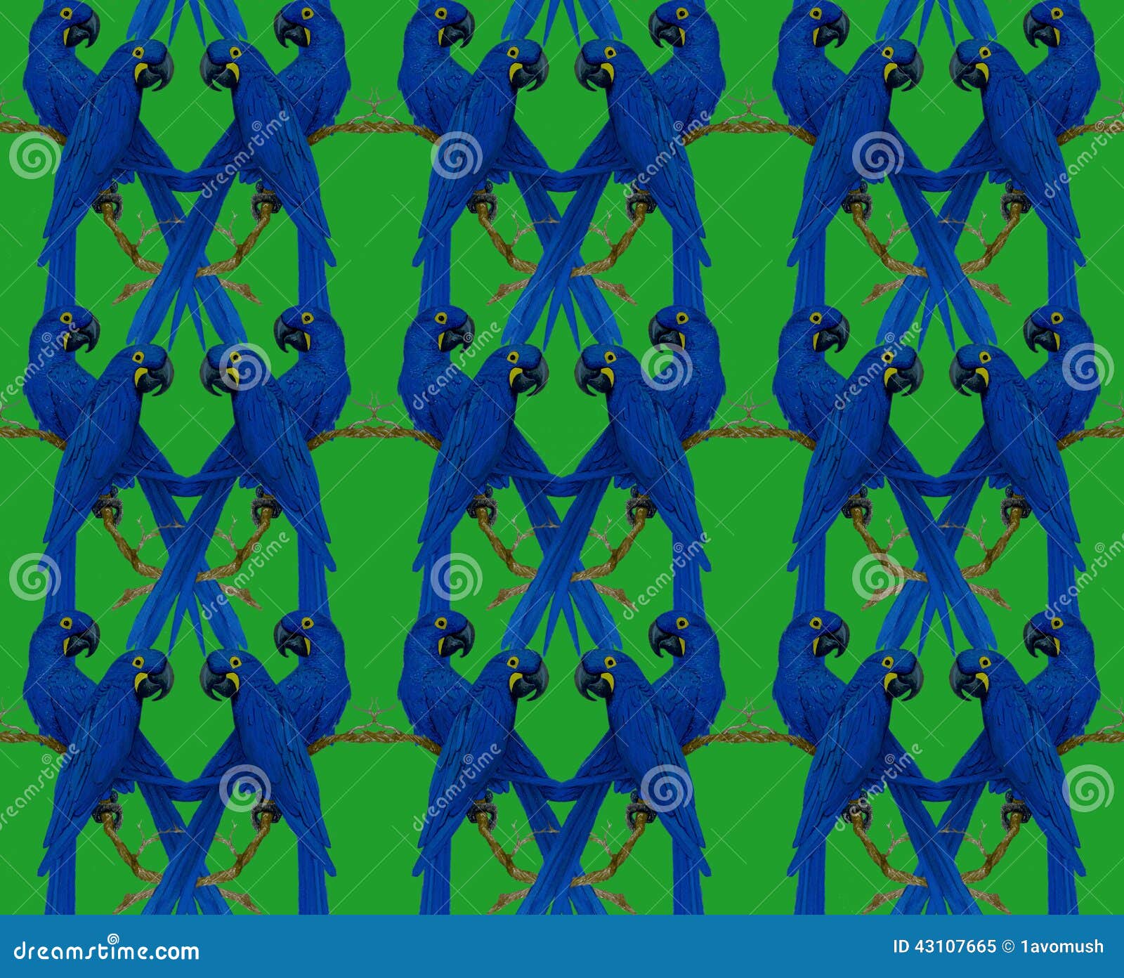 Seamless Hyacinth Macaws Pattern. Stock Vector - Illustration of design ...