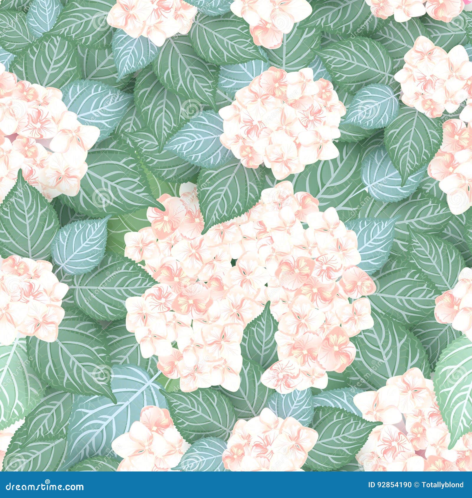 Seamless Hydrangea Flower Pattern Stock Vector - Illustration of frame ...