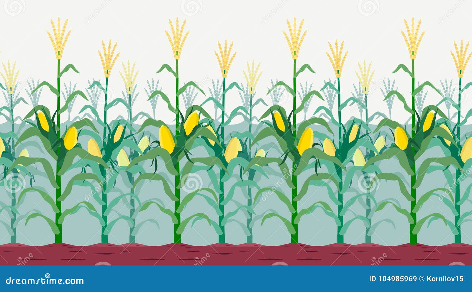 Seamless Isolated Cornfield Stock Vector - Illustration of fodder ...