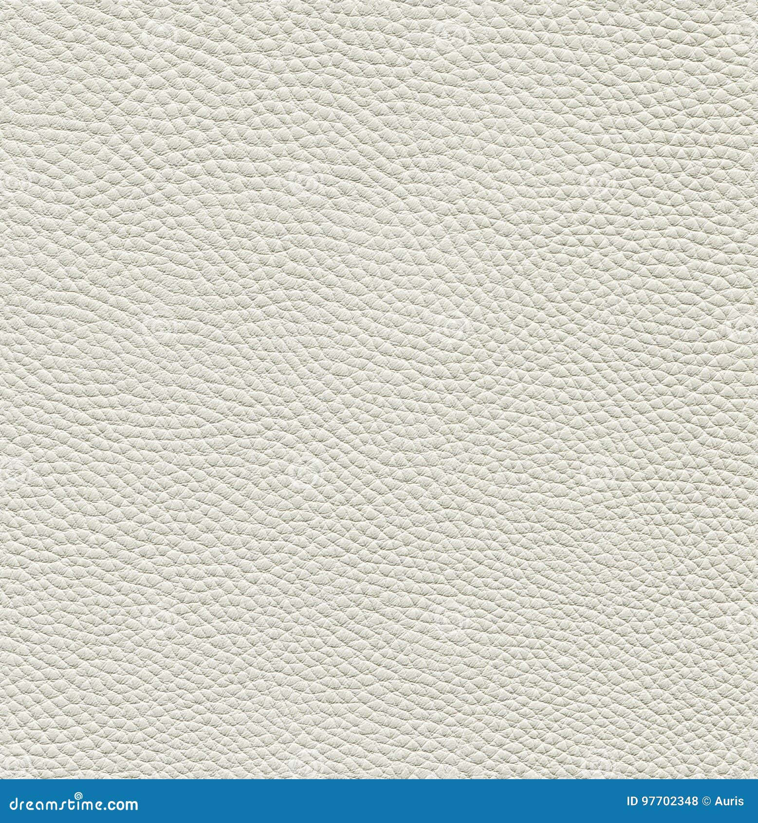 Off White Leather Texture