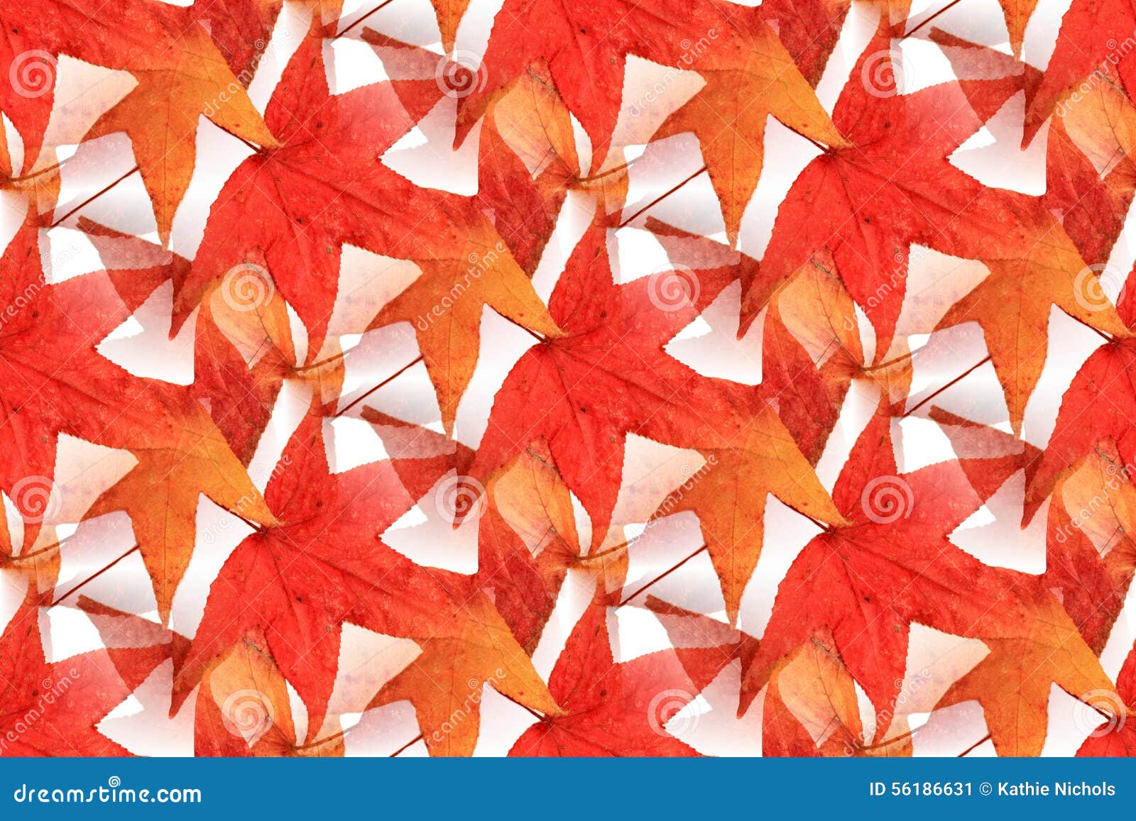 Seamless Maple Leaf Design 1 Stock Image - Image of shape, nature: 56186631