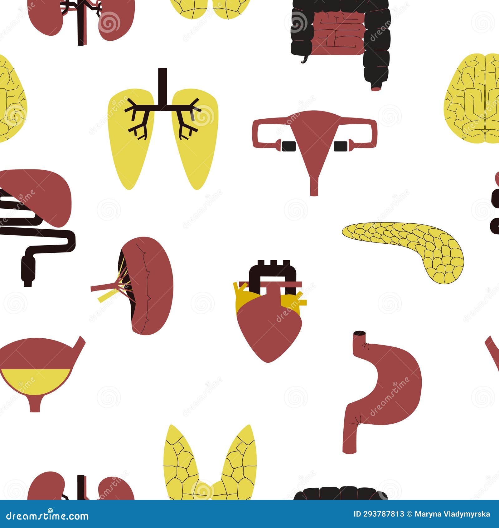 Seamless Medical Pattern of Various Human Internal Organs in Graphic ...