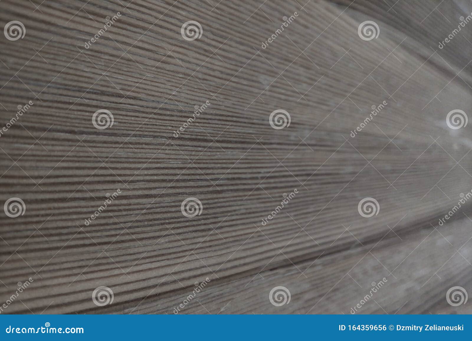 Seamless Nice Beautiful Wood Texture Background, Nice Parquet Texture ...
