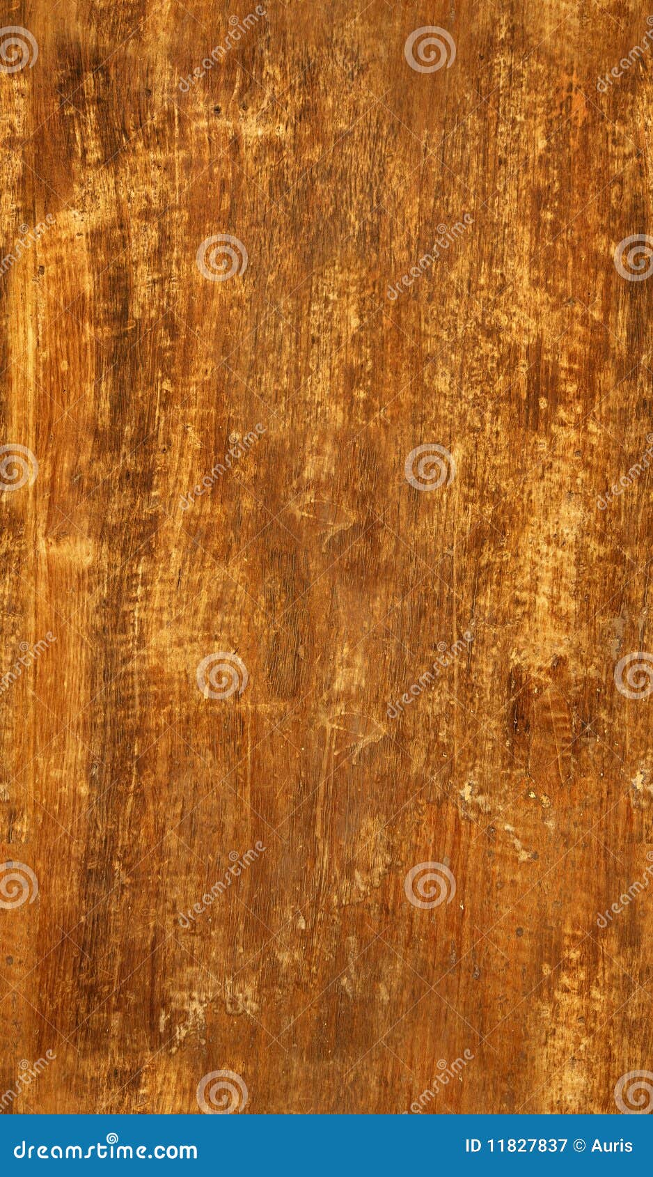 Seamless old wood texture stock image. Image of material - 11827837