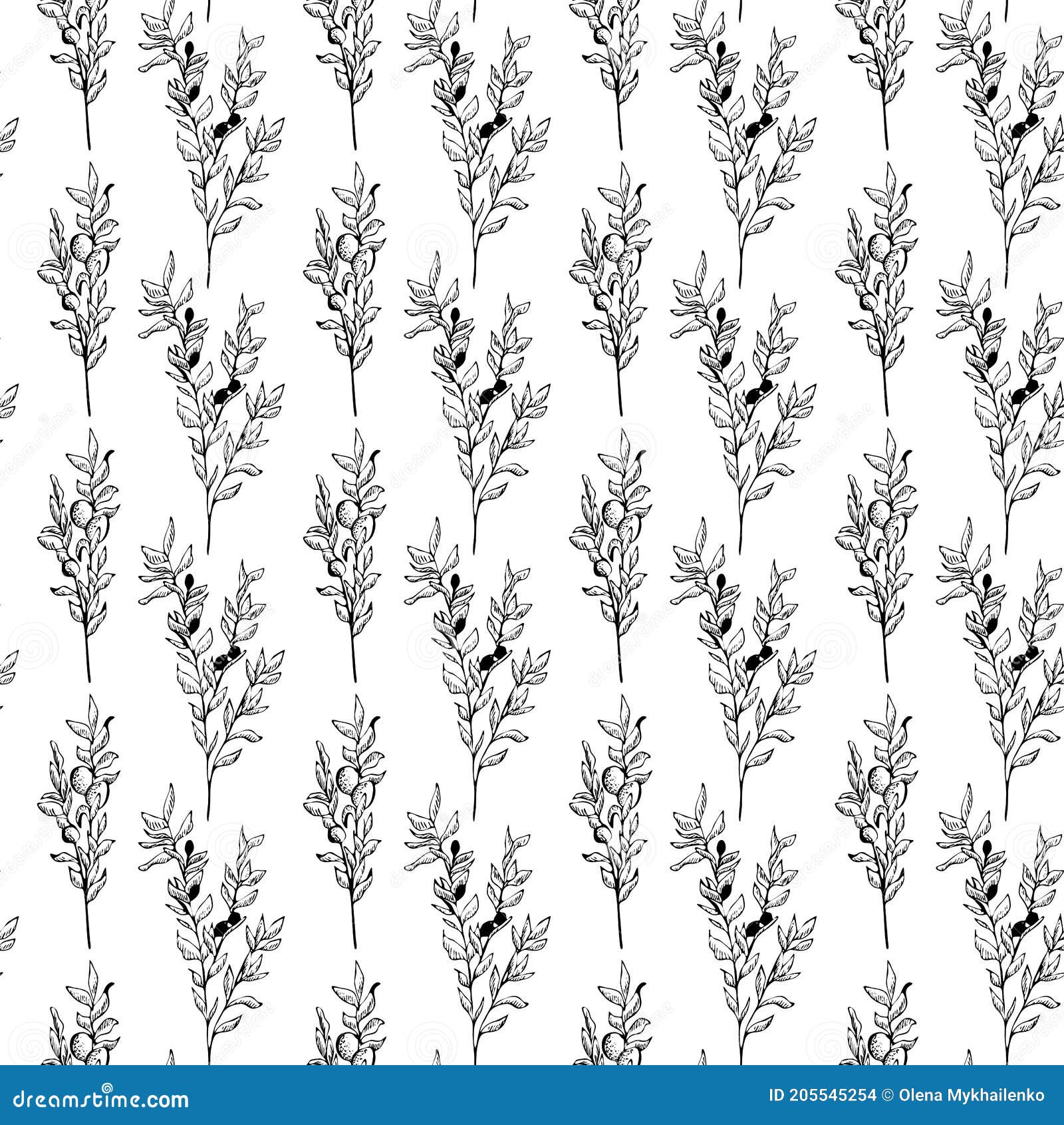 Seamless Olive Branch Pattern. Hand Drawn Vector Illustration Stock ...