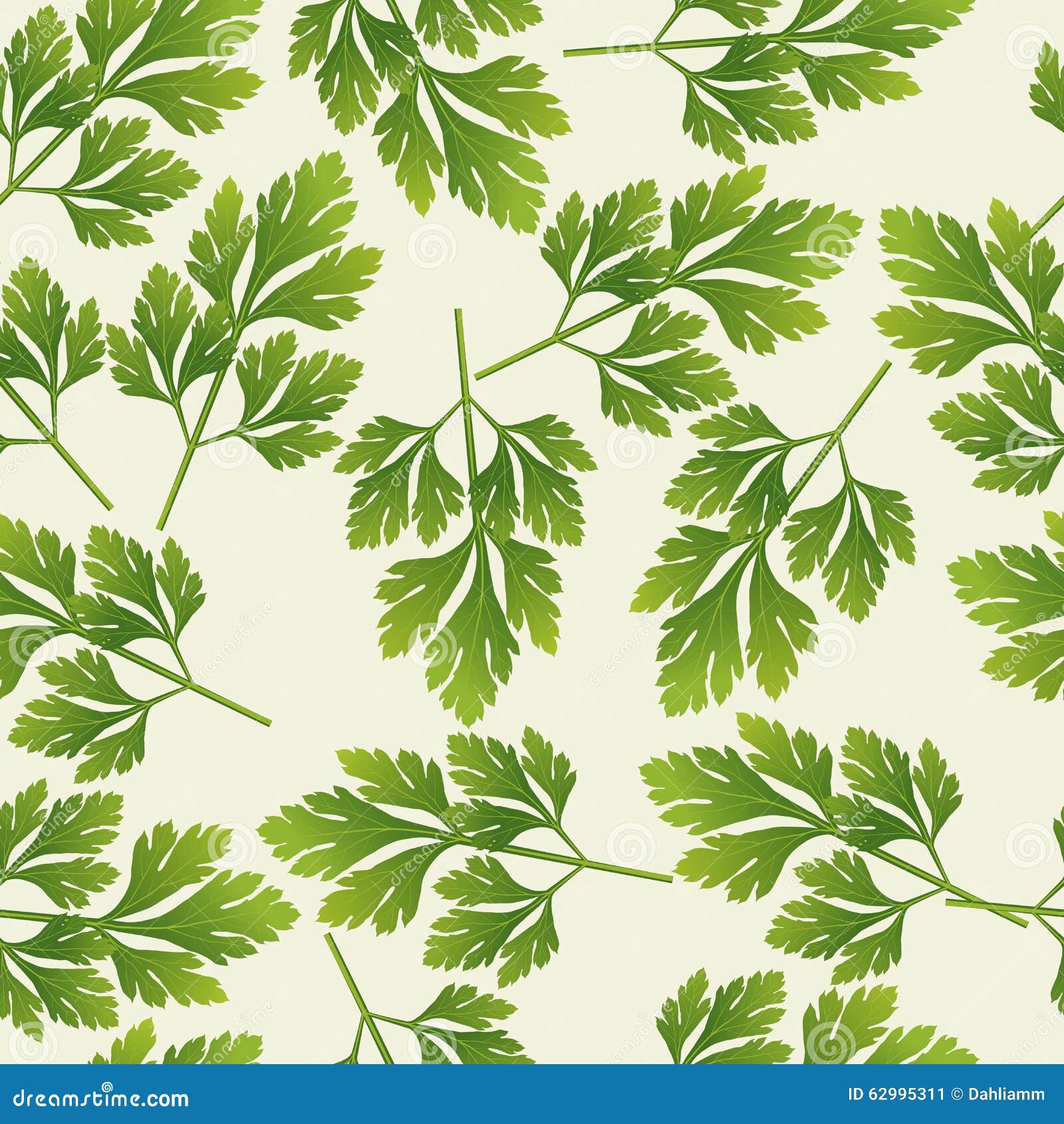 Seamless Parsley Pattern, Vector Stock Vector - Illustration of ...