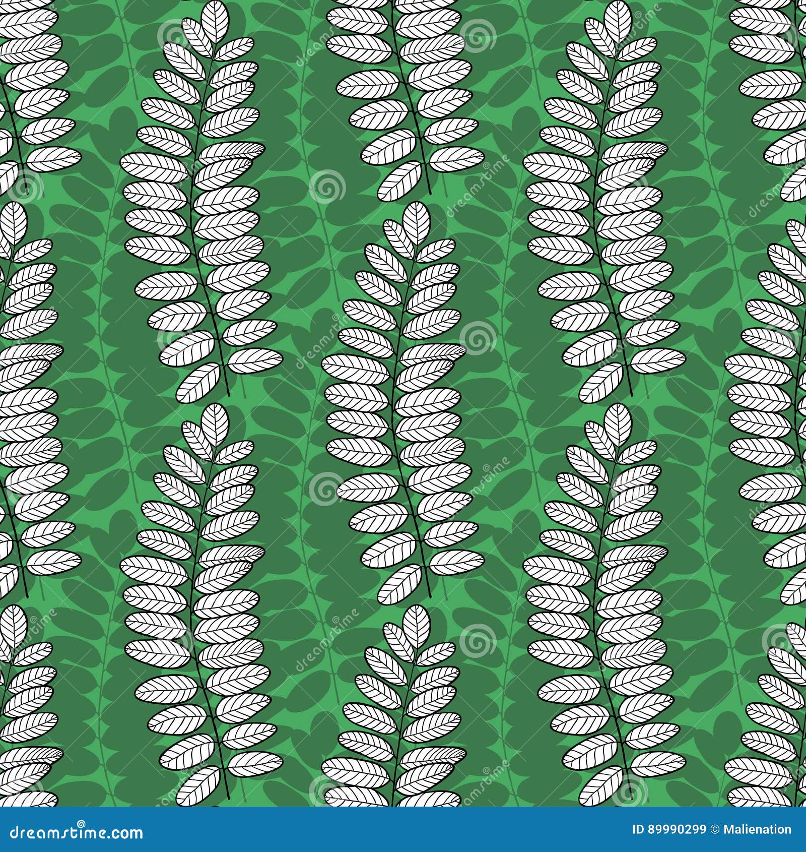 Seamless Pattern with Acacia Leaves. Vector Green Nature Background for ...