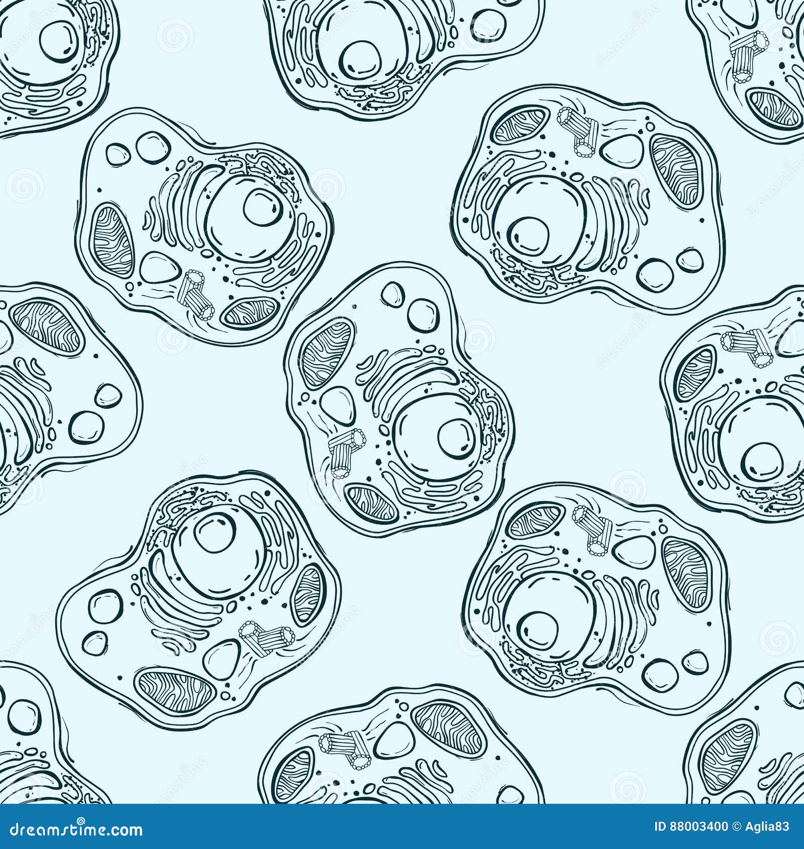 Seamless Pattern with Animal Cells Stock Vector - Illustration of ...