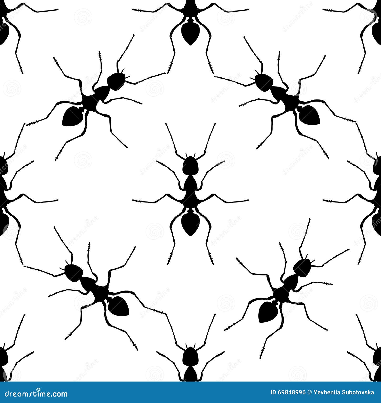 Seamless Pattern With Ant .Formica Exsecta. Hand-drawn Ant. Vector ...
