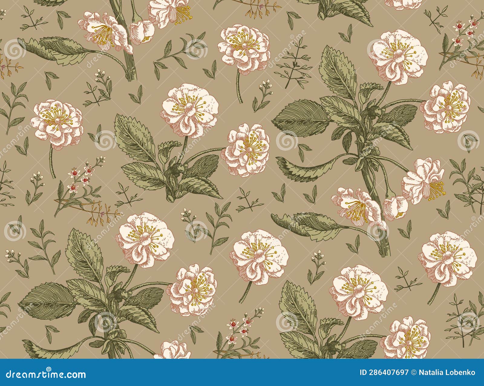 Seamless Pattern Apple Tree Isolated Flowers Vintage Background Drawing ...