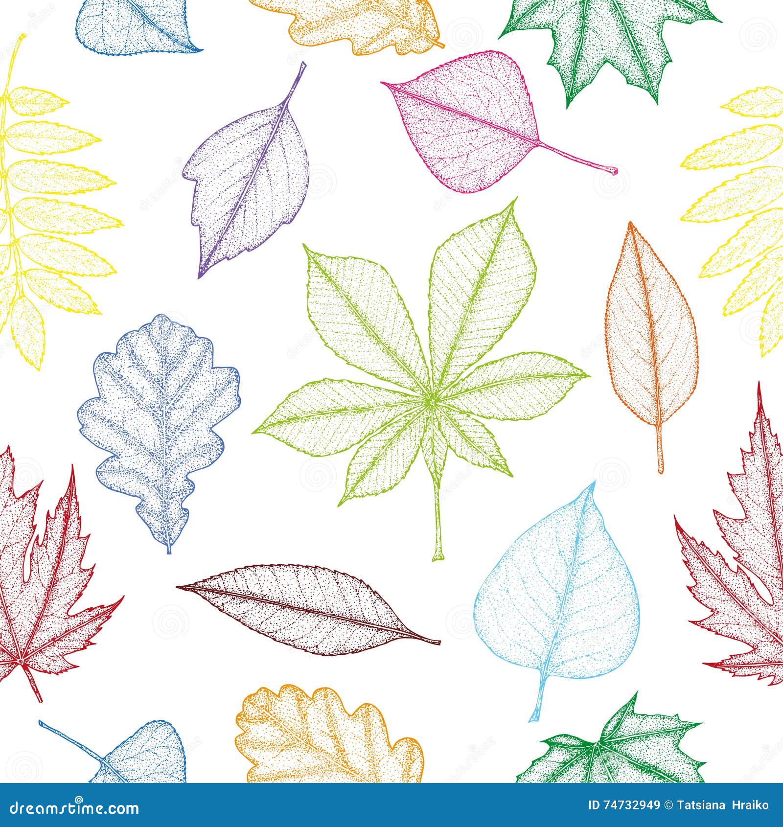 Seamless Pattern of Autumn Leaves. Botanical Illustration Stock Vector ...