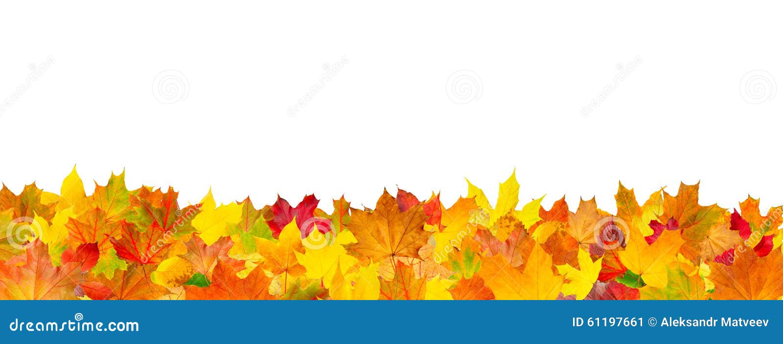 Pattern of Autumn Leaves Horizontal Background Stock Image - Image of ...