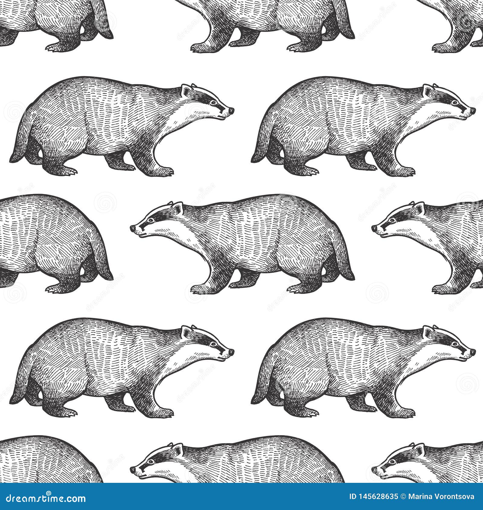 Seamless Pattern with Badger Stock Vector - Illustration of pattern ...