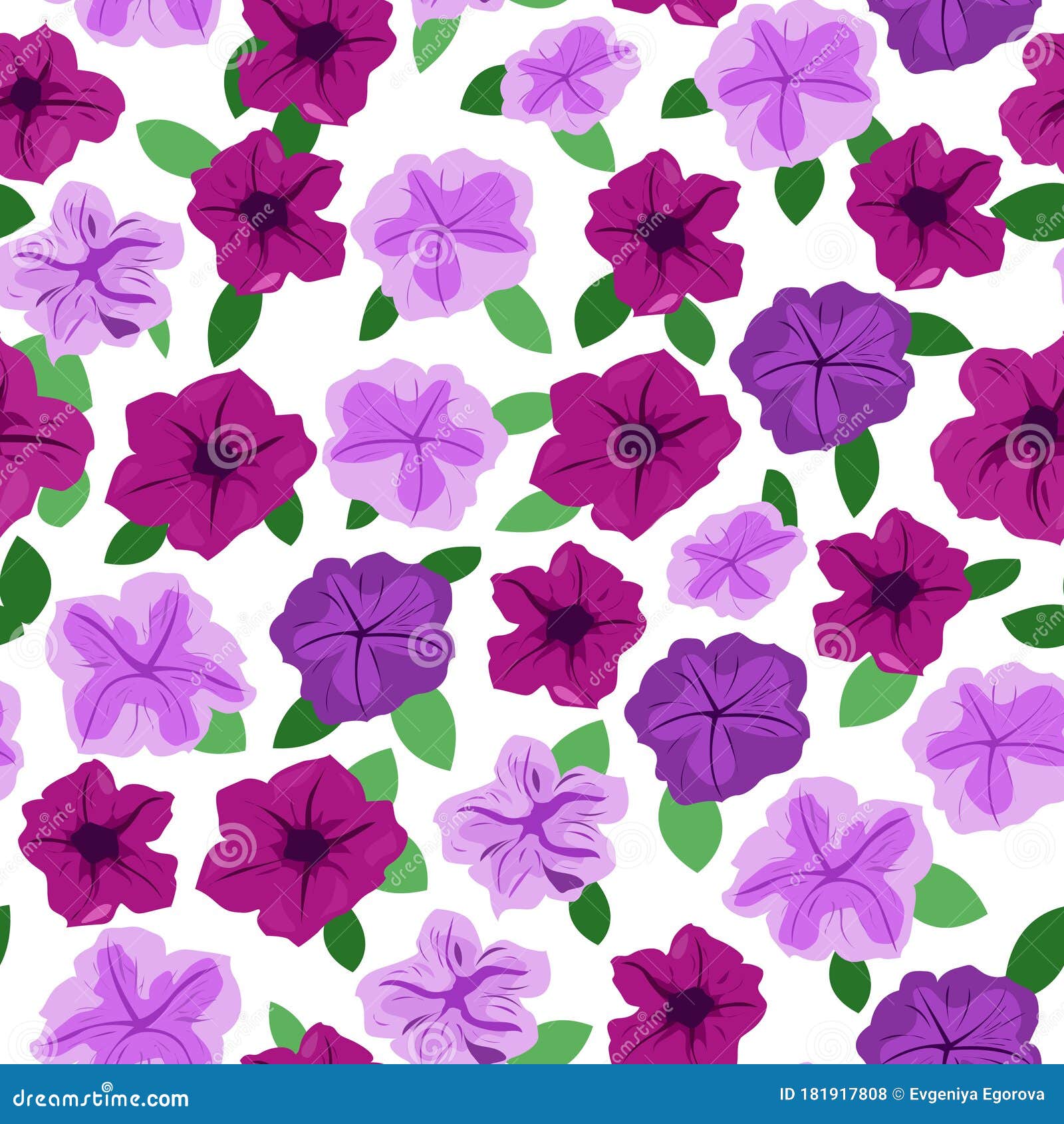 Seamless Pattern of Bard and Lilac Petunias on a White Background Stock ...