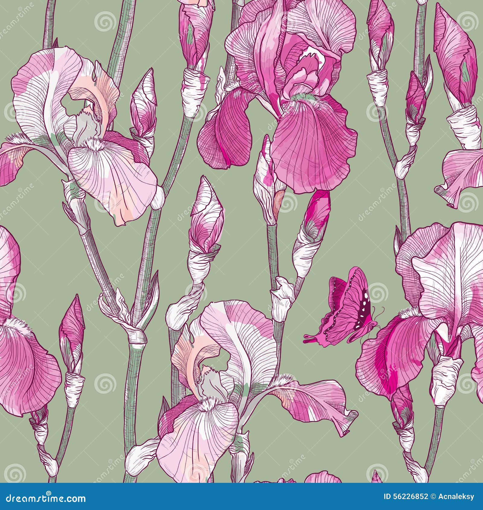 Seamless Pattern with Beautiful Pink Iris Flowers Stock Vector ...