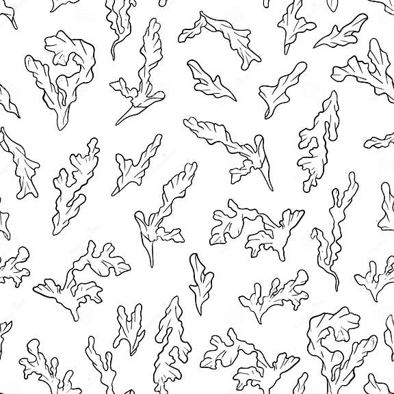 Seamless Pattern with Beauty Algae Coloring Page Stock Vector ...