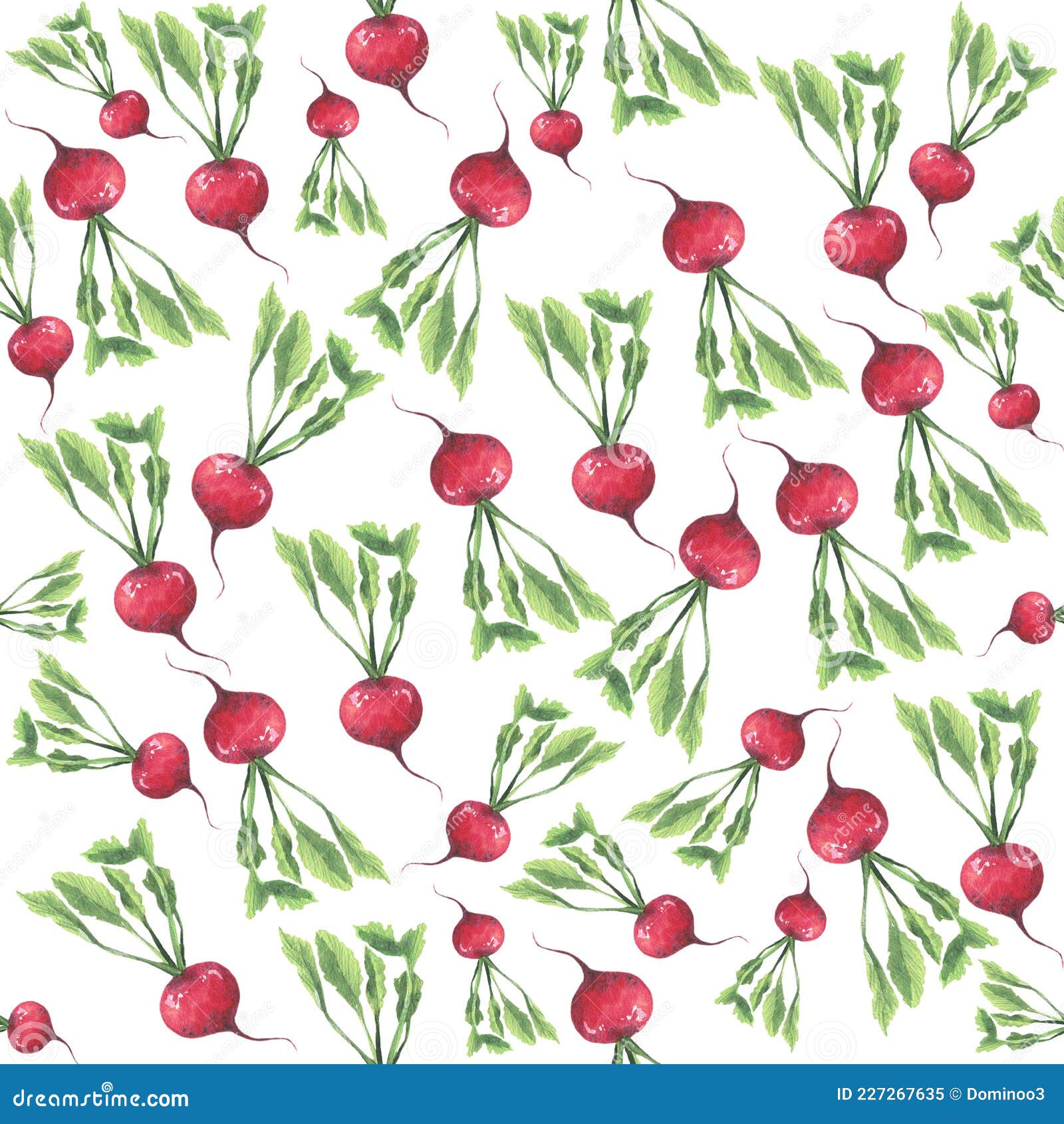 Seamless Pattern Beets. Watercolor Painted Collection of Vegetables ...