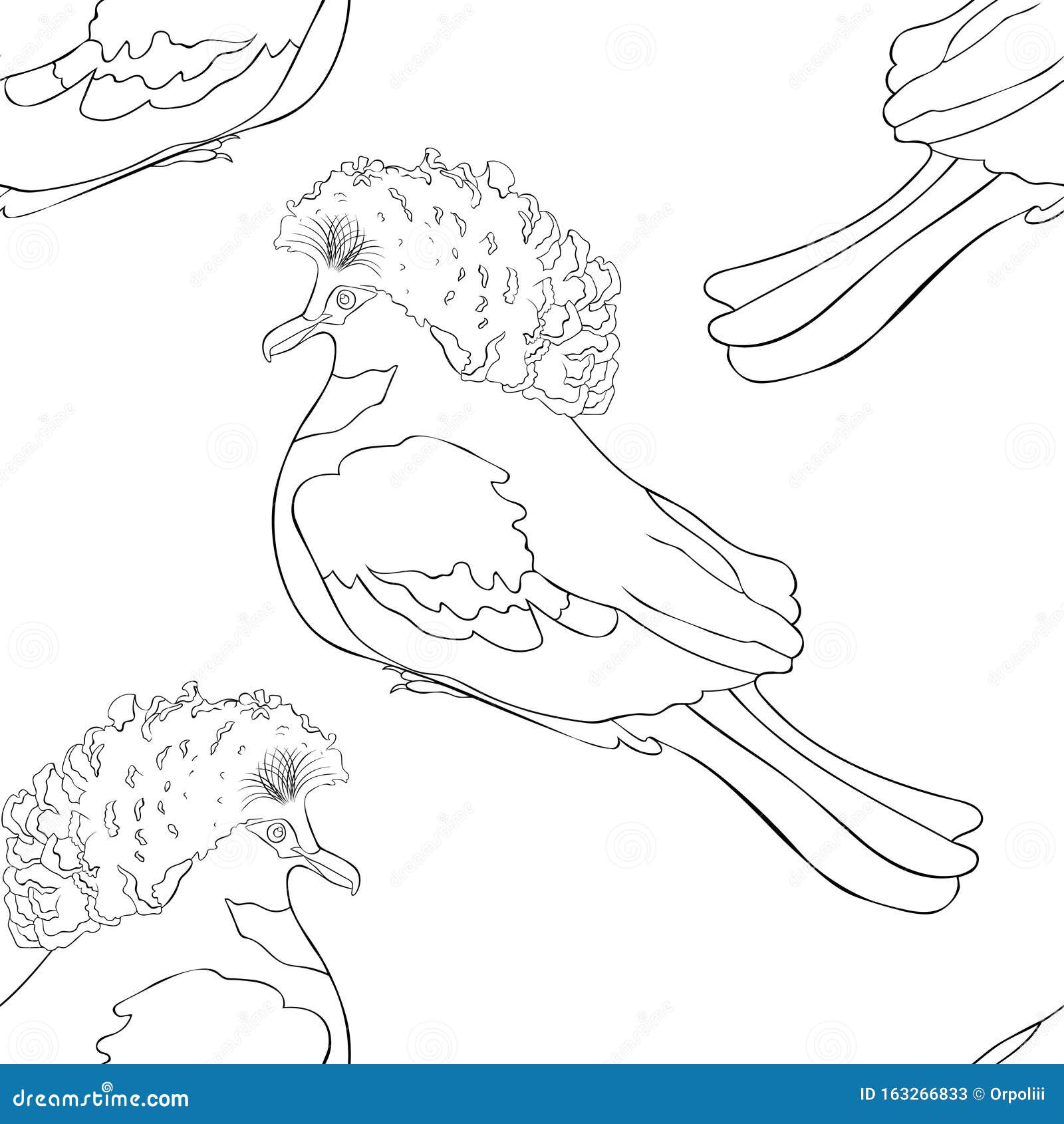 Seamless Pattern Bird King Crowned Pigeon. Vector Illustration Stock ...