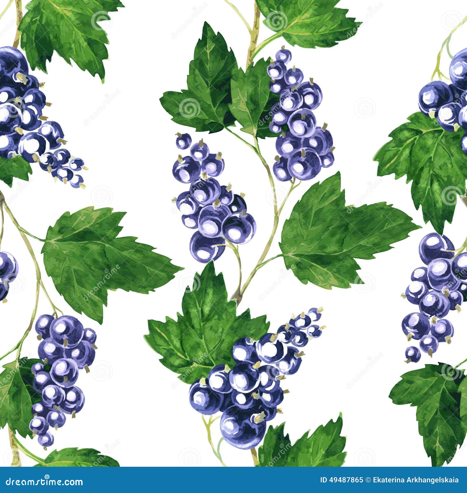 Seamless Pattern with Black Currants Stock Vector - Illustration of ...