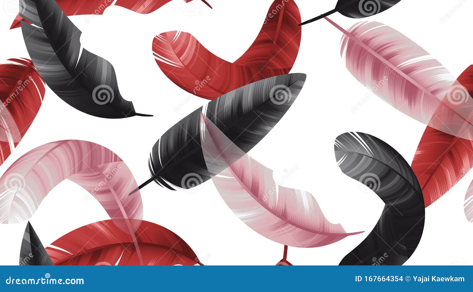 Seamless Pattern, Black, Red and Pink Feathers on White Background ...