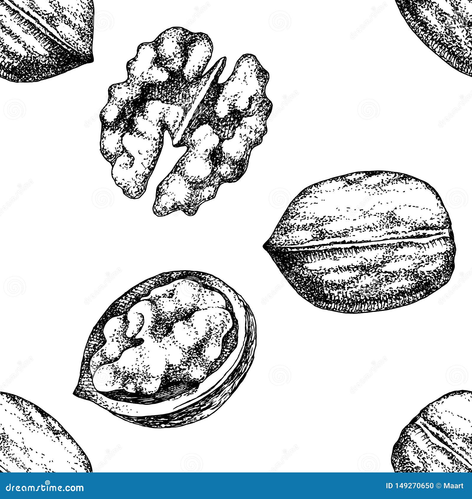 Seamless Pattern with Hand Drawn Walnut Nuts Stock Illustration ...
