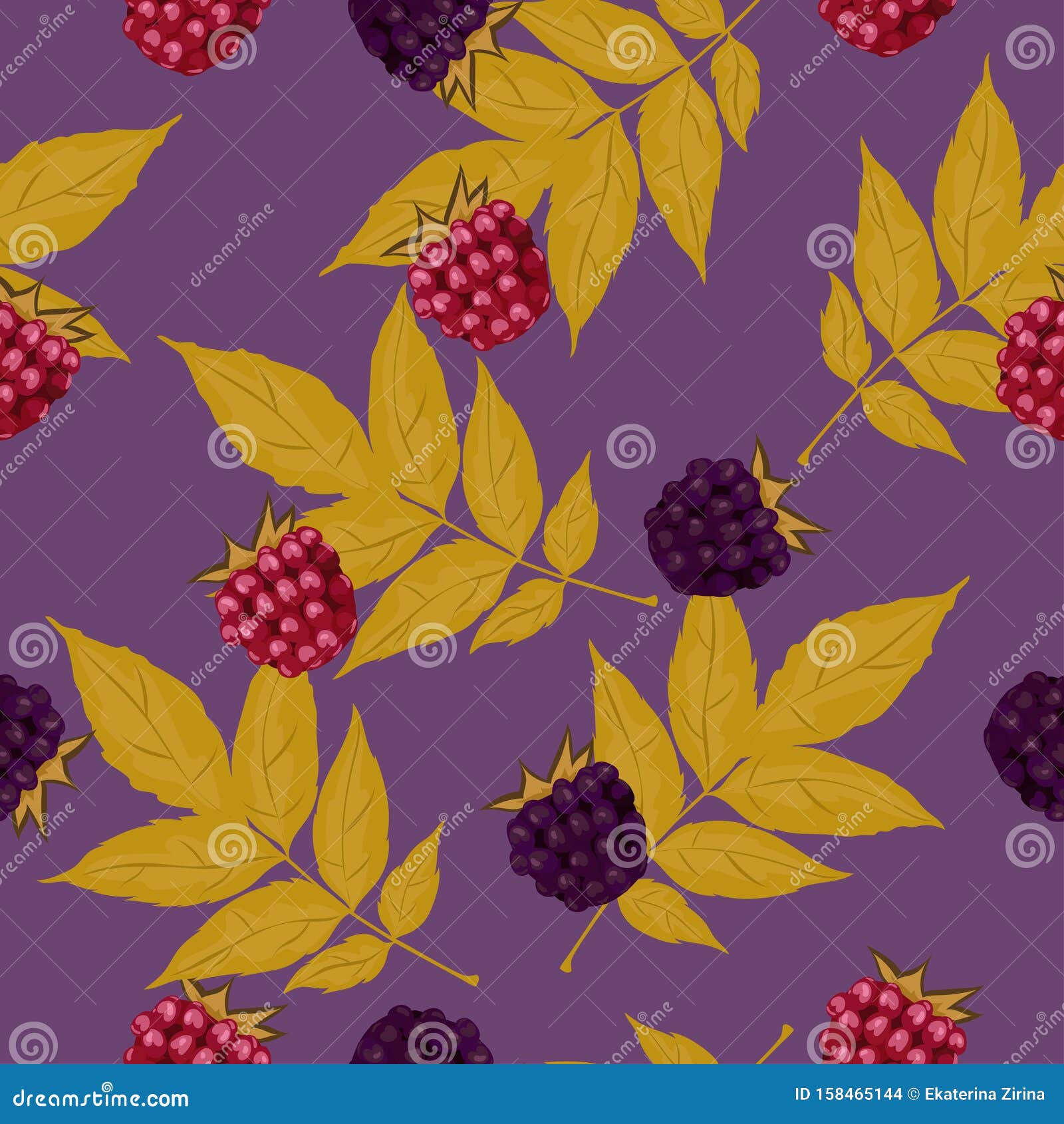 Seamless Pattern with Blackberries and Raspberries and Ash Leaves ...