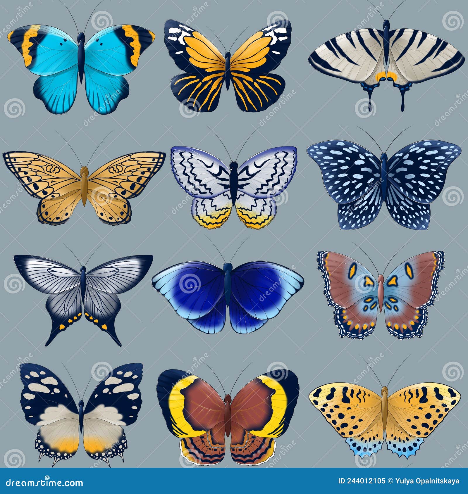 Seamless Pattern of Blue, Gray, Orange, Brown Butterflies Set Isolated ...