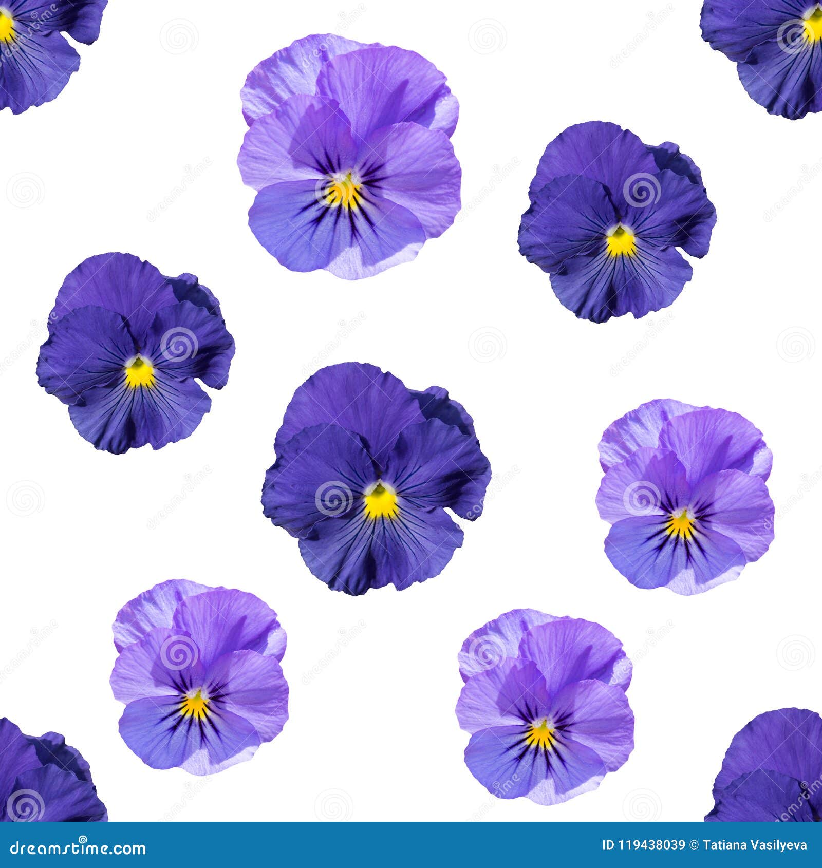 Seamless Pattern of Blue, Violet Pansy on White Background Stock Image ...