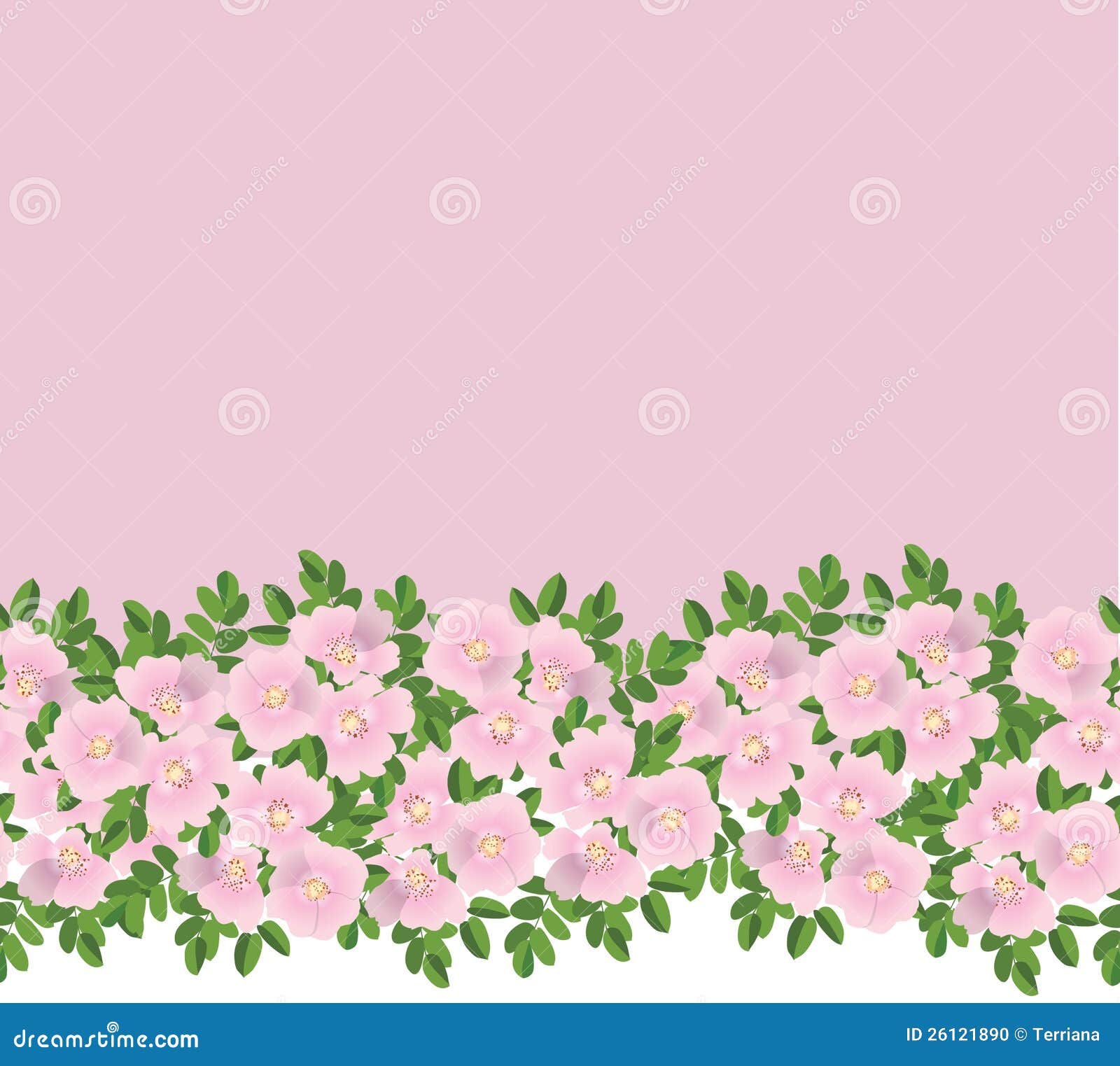 Seamless Pattern Border with Flowers Stock Vector - Illustration of ...