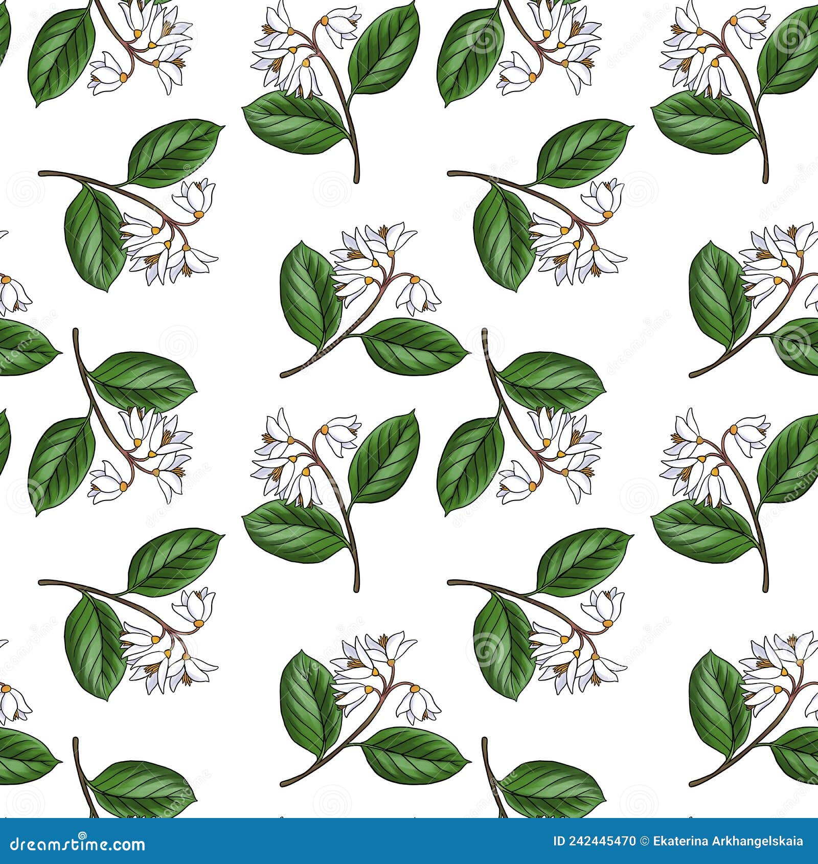 Seamless Pattern with Branch of Gum Benjamin Tree Stock Illustration ...