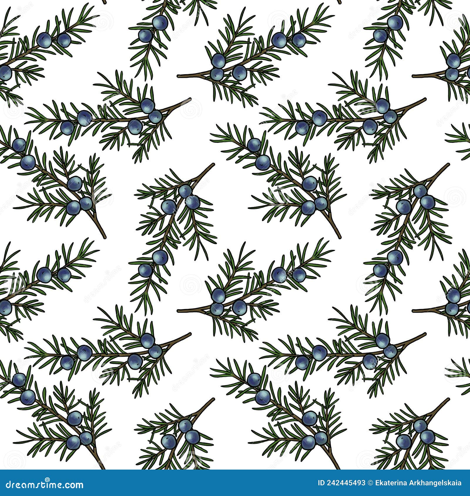 Seamless Pattern with Branch of Juniper Stock Illustration ...