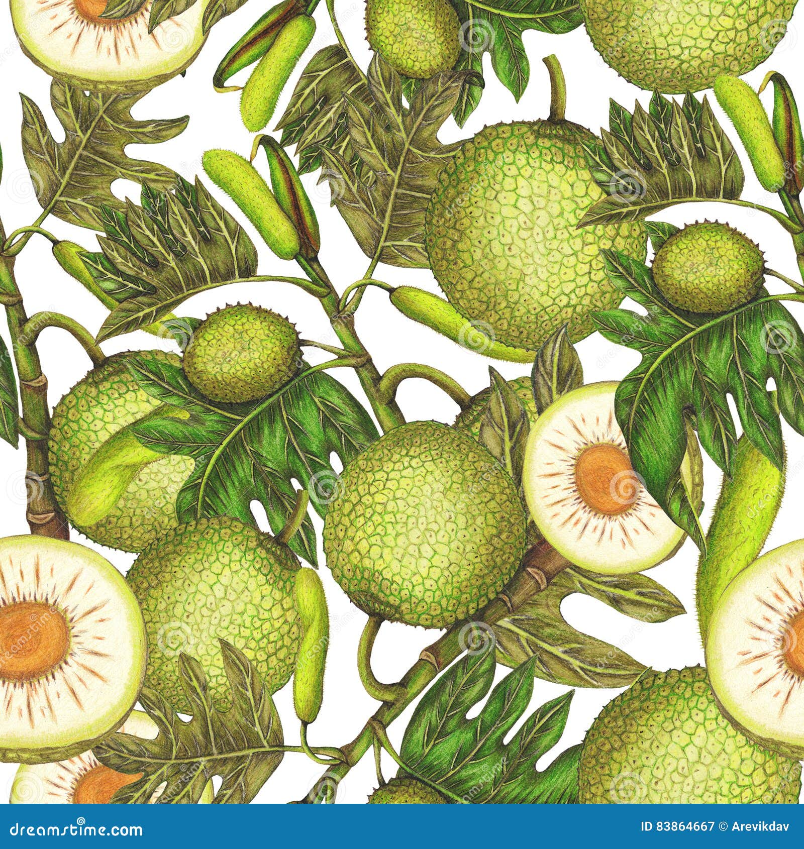 Seamless Pattern of Breadfruit Illustration Stock Illustration ...