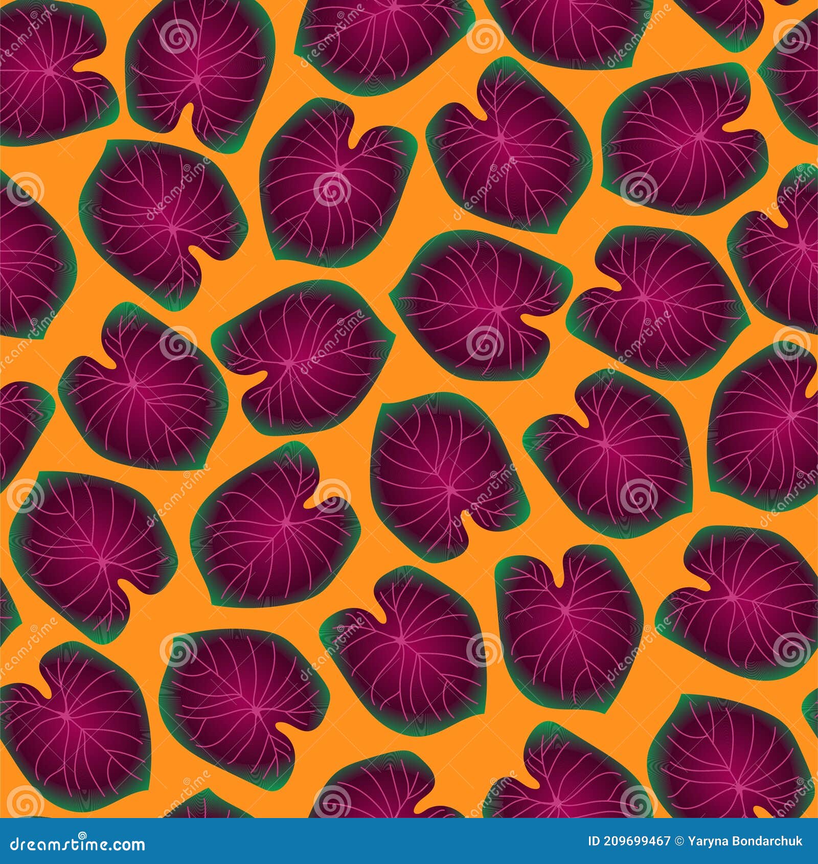 Caladium Leaves Icon. Tropical Leaf Of Caladium, Isolated On A White ...