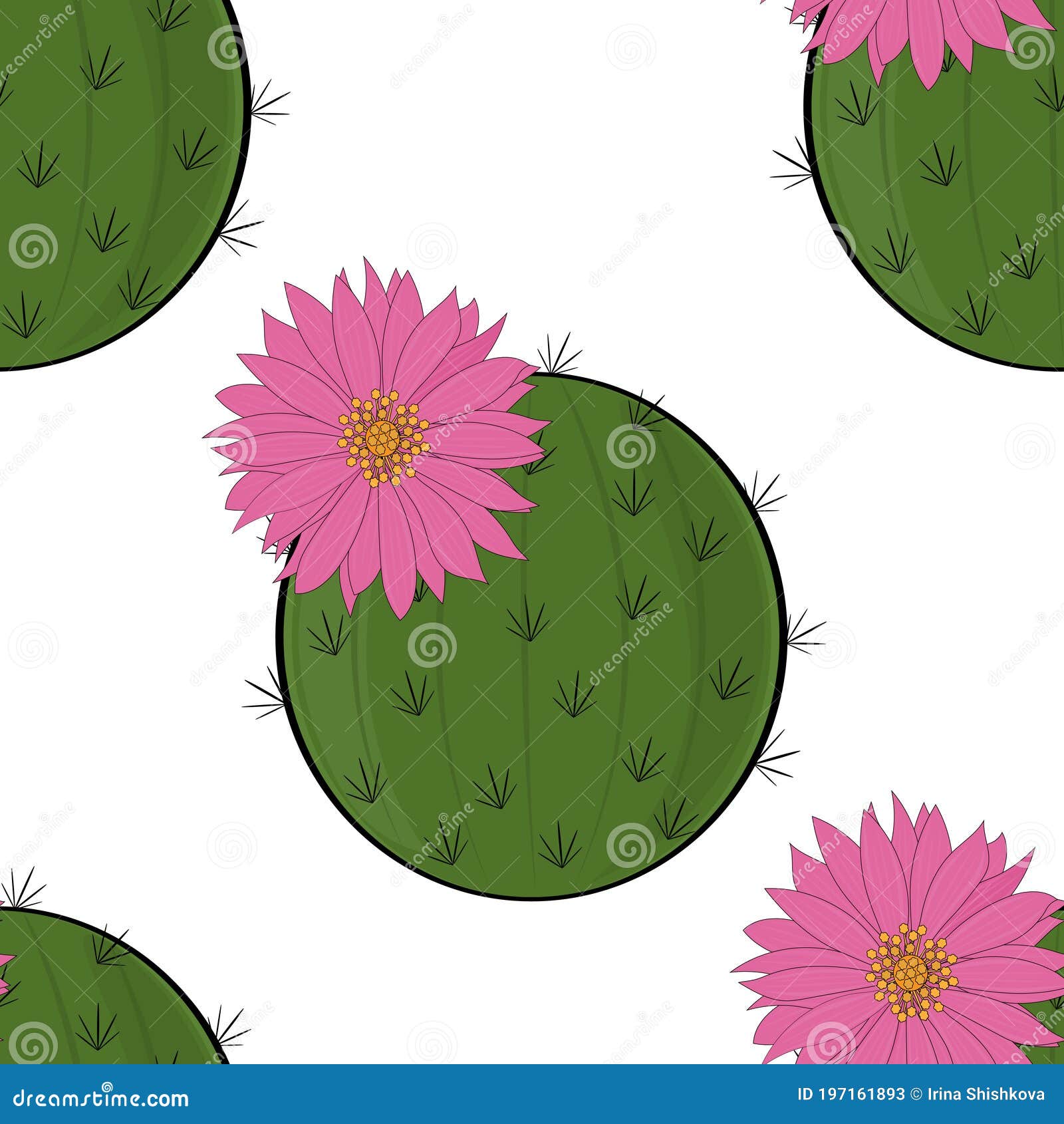 Seamless Pattern Cactus with Flowers Vector Illustration Stock ...