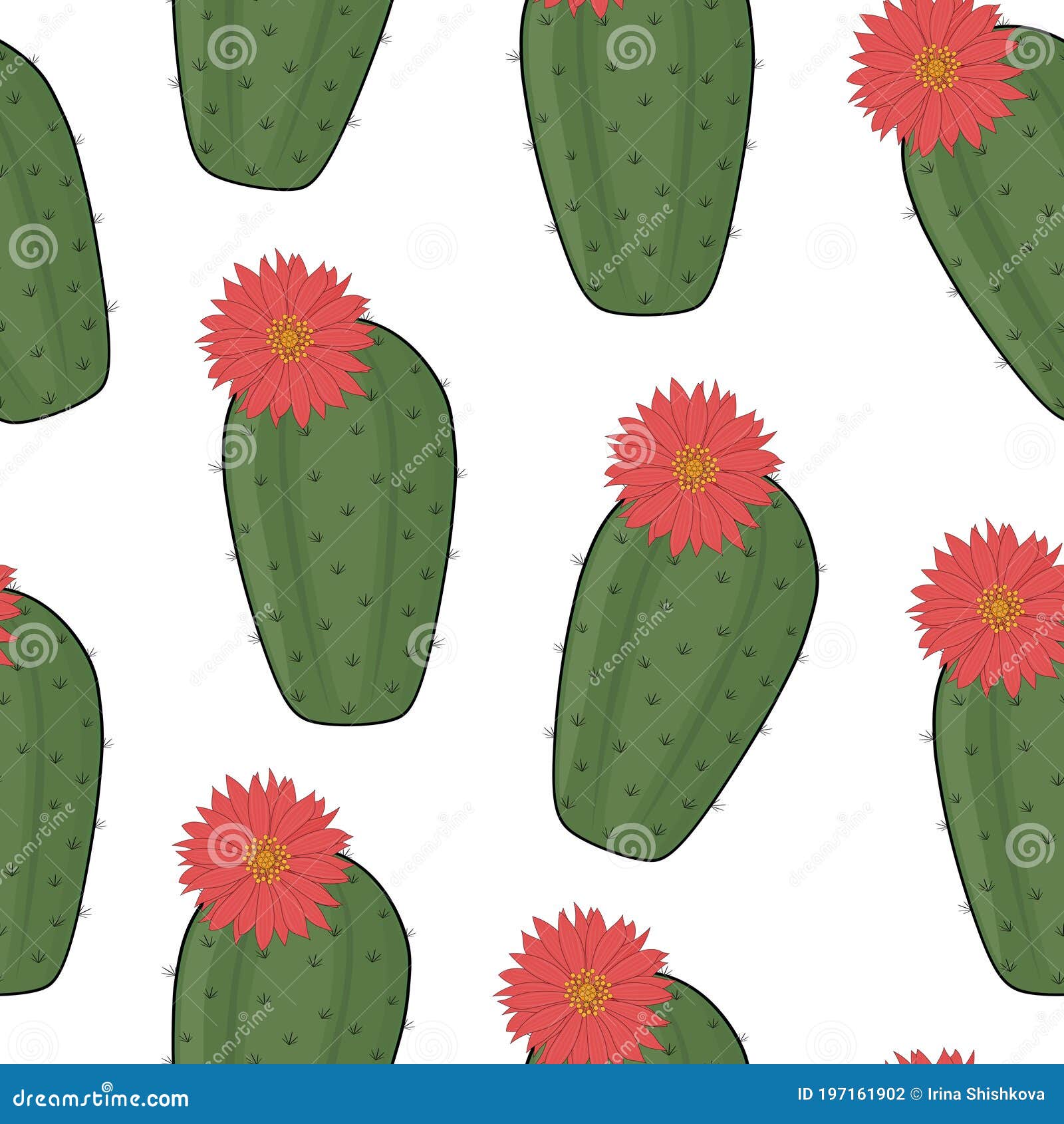 Seamless Pattern Cactus with Flowers Vector Illustration Stock Photo ...